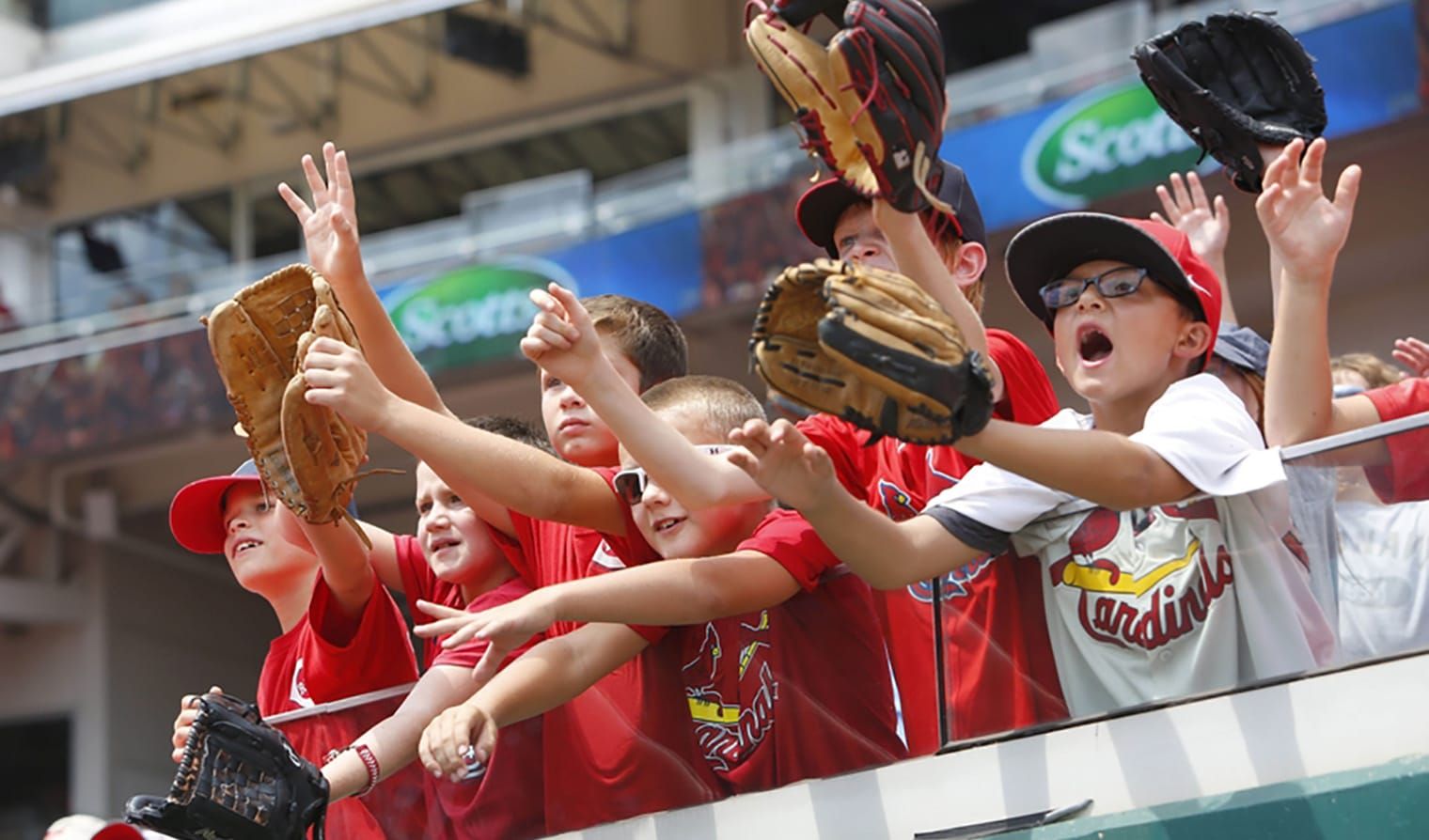 St Louis Cardinals Fan Rankings | Best Fans St Louis Cardinals
