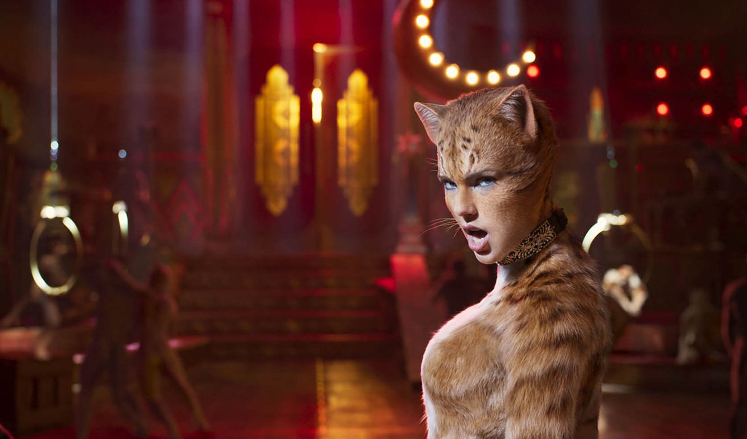 Cats Fan Rankings | Best Fans Cats