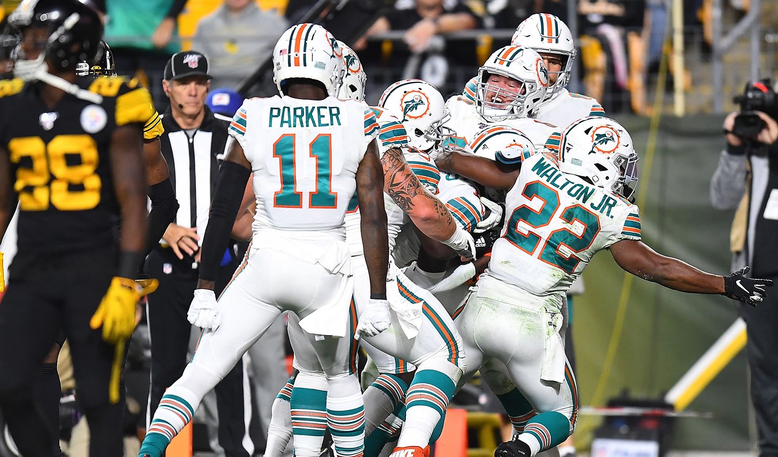 Miami Dolphins Fan Rankings | Best Fans Miami Dolphins